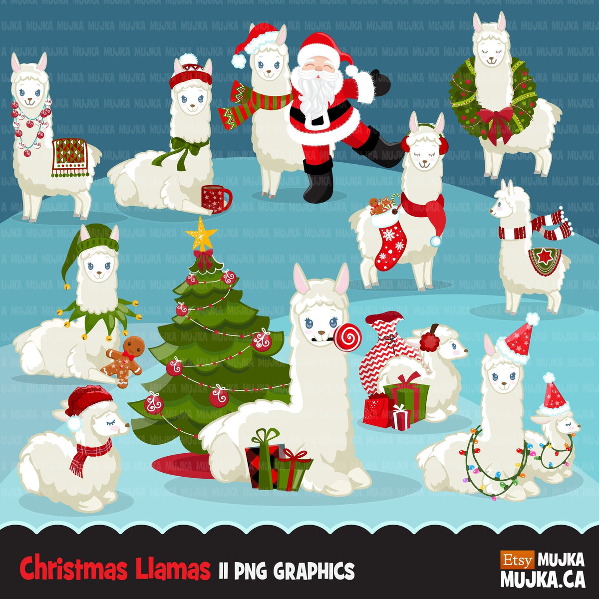 Christmas LLama clipart, winter – MUJKA CLIPARTS