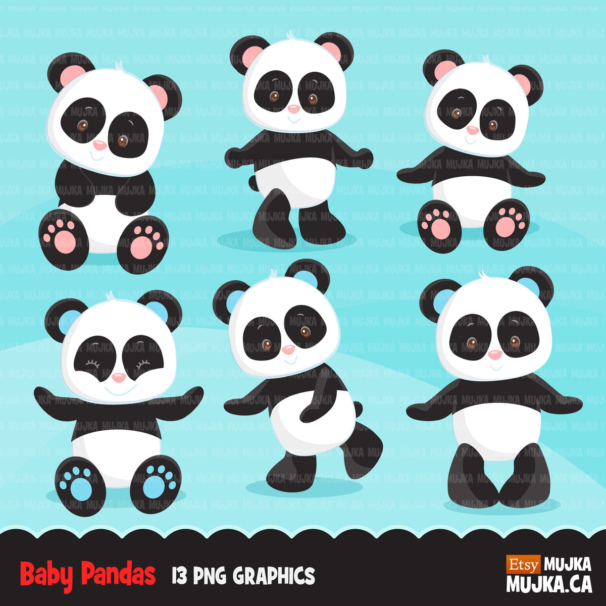 Baby Panda Clipart. Cute Panda, animal graphics – MUJKA CLIPARTS